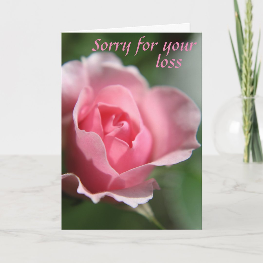 Pink Rose Sorry for your Loss Card | Zazzle