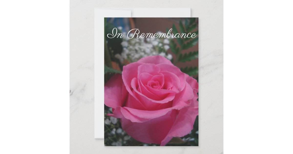 Pink rose sympathy card | Zazzle