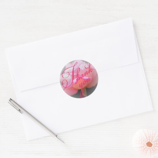 Pink Rose Thank You sticker | Zazzle