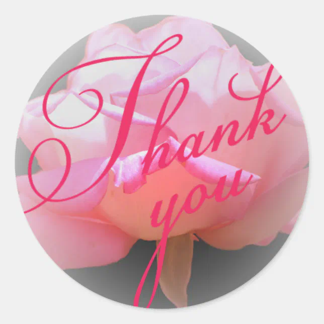 Pink Rose Thank You sticker | Zazzle