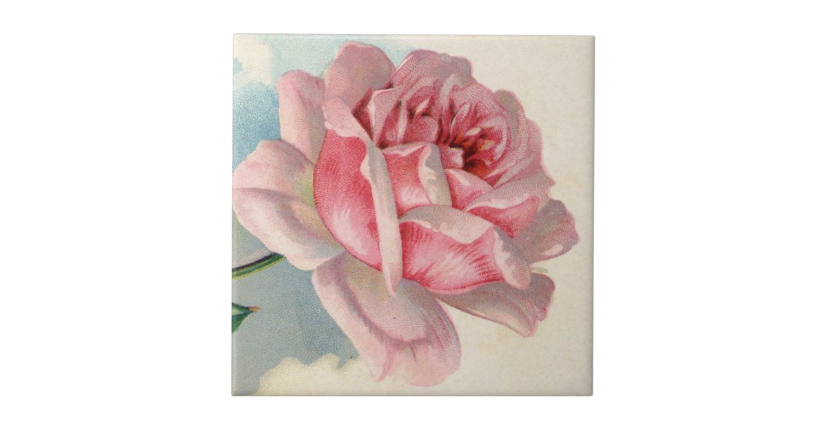 Pink Rose Vintage Ceramic Tile | Zazzle