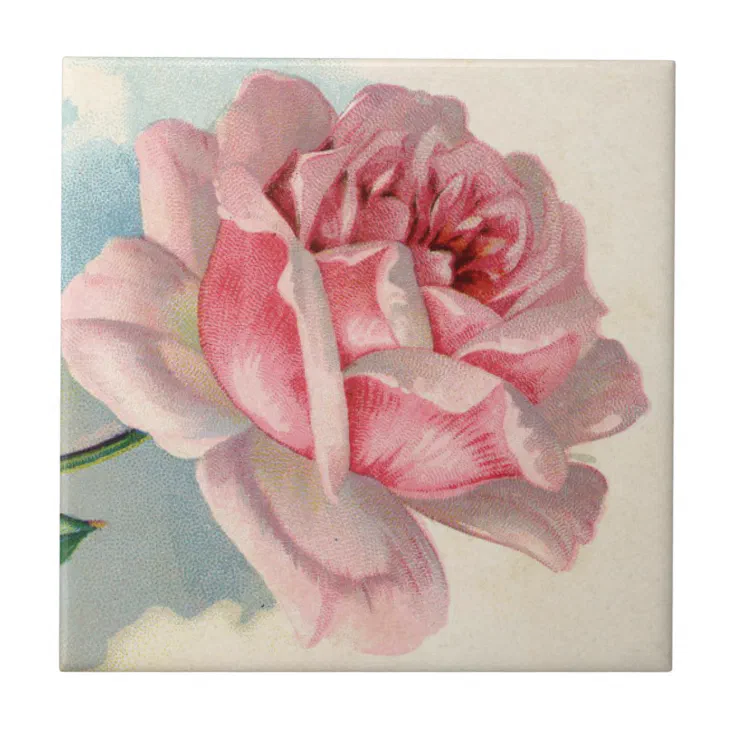 Pink Rose Vintage Ceramic Tile | Zazzle