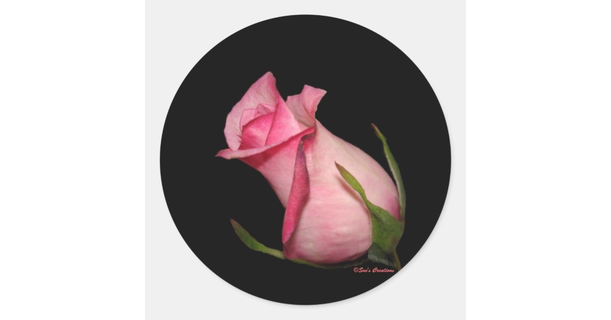 Pink Rosebud (Tilted) Classic Round Sticker | Zazzle