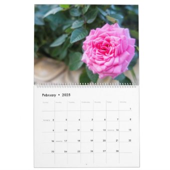 Pink roses calendar | Zazzle