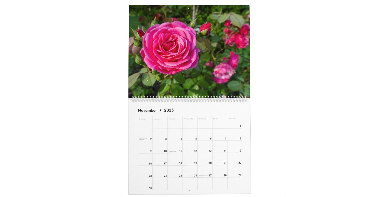 Pink roses calendar | Zazzle