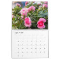 Pink roses calendar | Zazzle