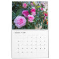 Pink roses calendar | Zazzle