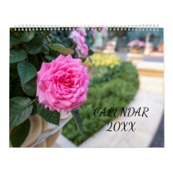 Pink roses calendar | Zazzle
