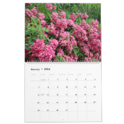 Pink roses calendar | Zazzle