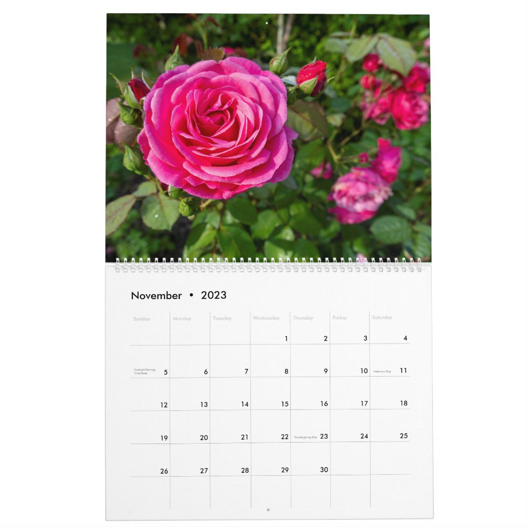 Pink roses calendar | Zazzle