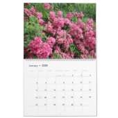 Pink roses calendar | Zazzle