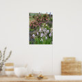 Pink Roses Flowers Nature Cottage Garden Poster | Zazzle