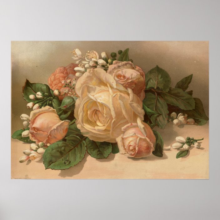 Pink Roses Poster | Zazzle.com