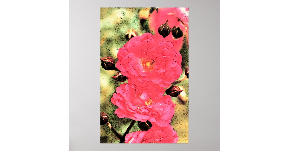 Pink Roses Poster - Digital Photo Floral Art | Zazzle