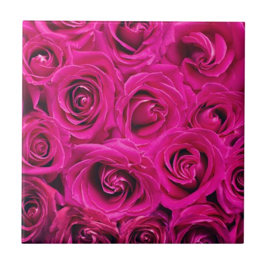Pink Roses Pretty Feminine Floral Ceramic Tile | Zazzle.com