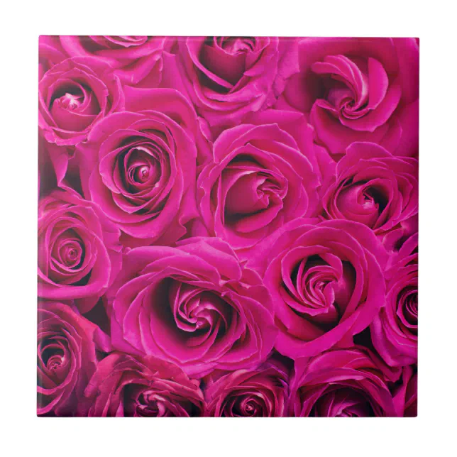 Pink Roses Pretty Feminine Floral Ceramic Tile | Zazzle