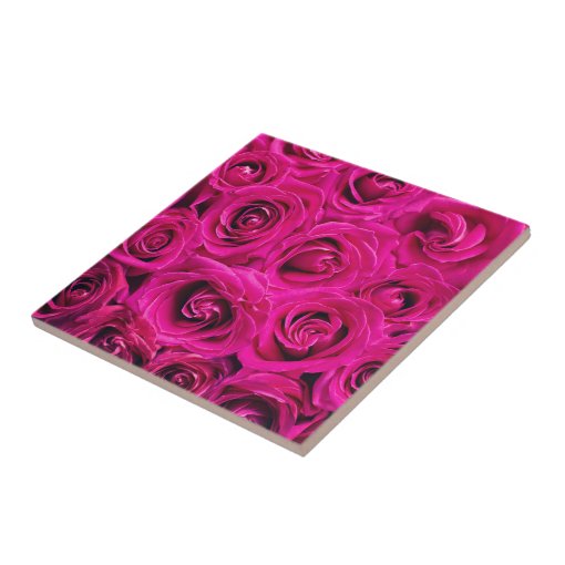 Pink Roses Pretty Feminine Floral Ceramic Tile | Zazzle
