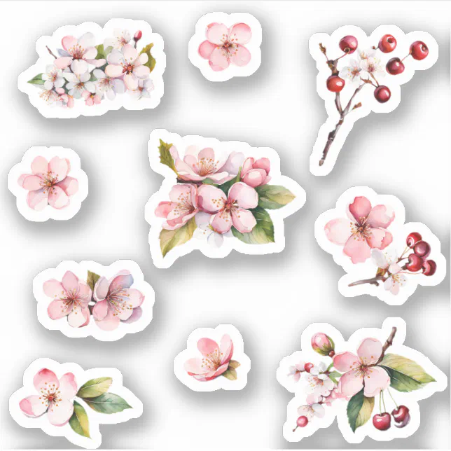 Pink Sakura Cherry Blossoms Flowers Sticker Pack | Zazzle