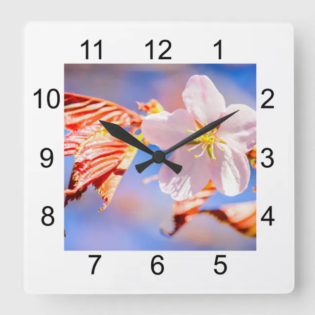Pink Sakura Flower Blue Sky Square Wall Clock | Zazzle