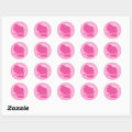 Pink State Wisconsin Classic Round Sticker | Zazzle