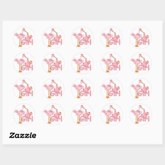 Pink Stork Baby Girl Classic Round Sticker | Zazzle