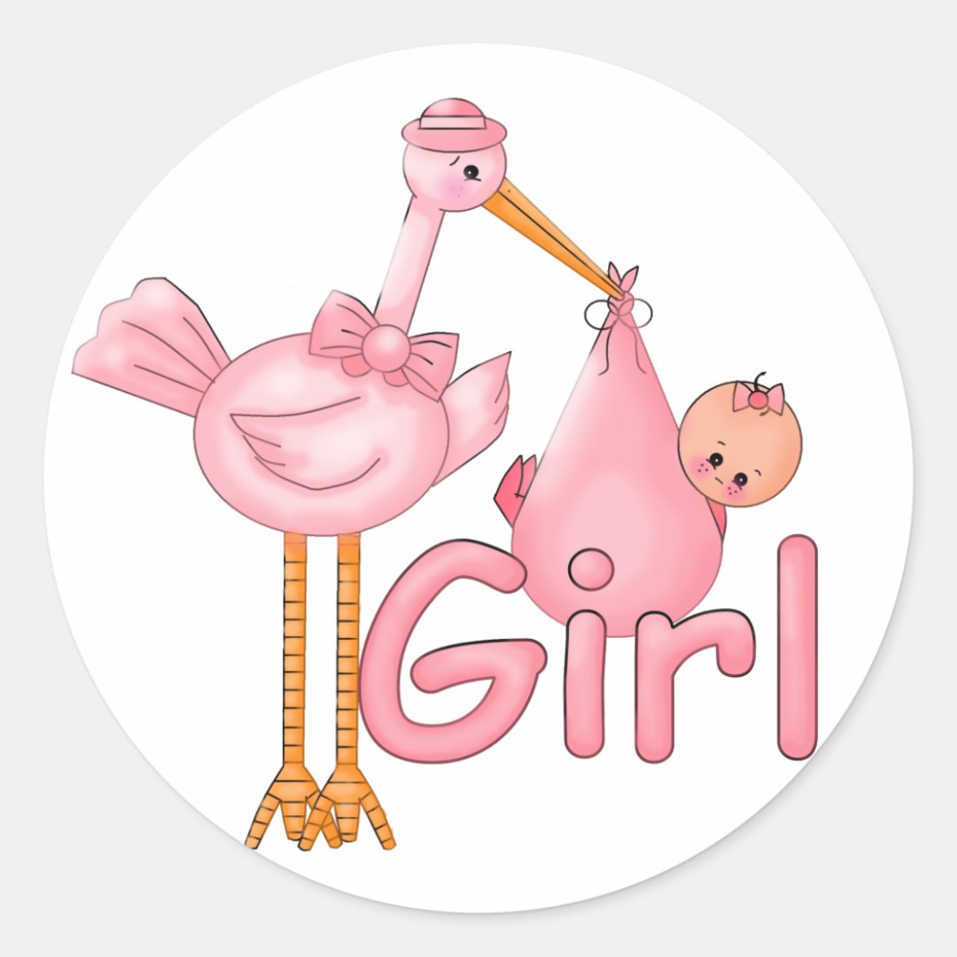 Pink Stork Baby Girl Classic Round Sticker | Zazzle