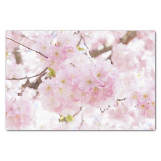 Pink Tree Sakura Cherry Blossom Tissue Paper | Zazzle.com