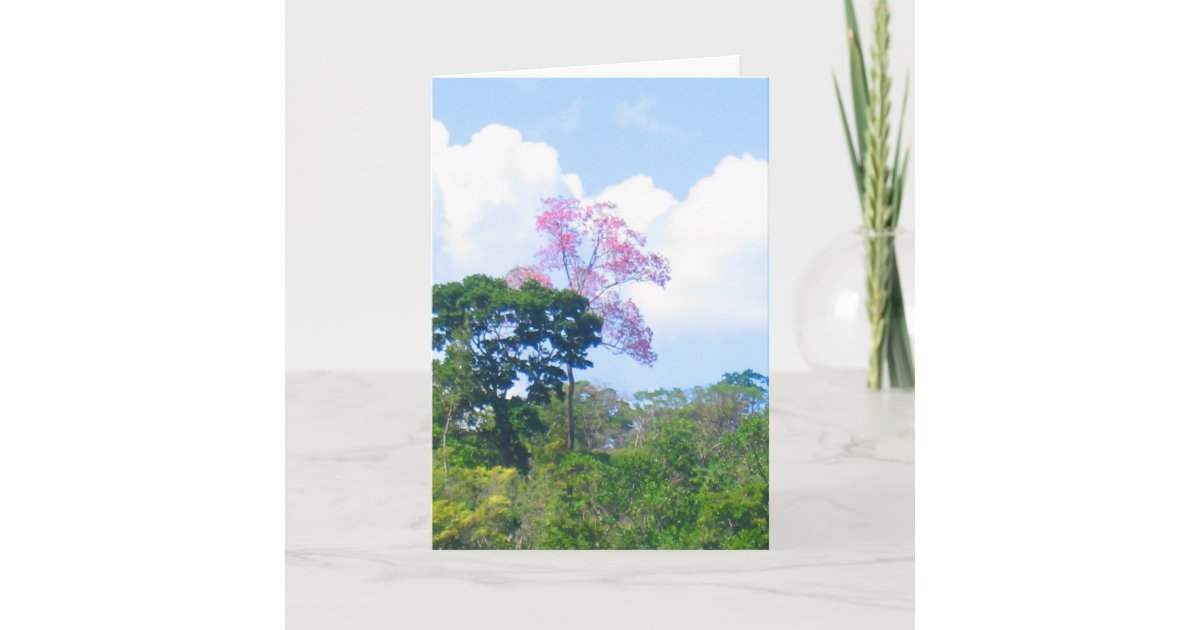 Pink Tree Venezuela Jungle Landscape Card | Zazzle
