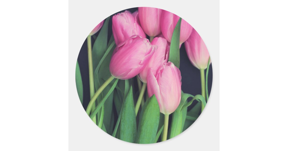 Pink Tulips Classic Round Sticker | Zazzle