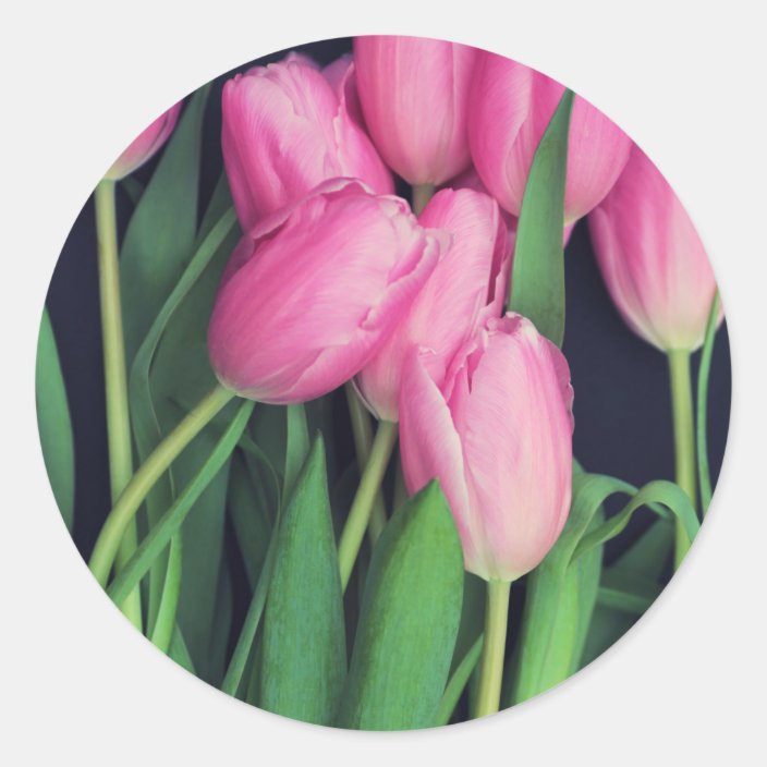 Pink Tulips Classic Round Sticker | Zazzle.com