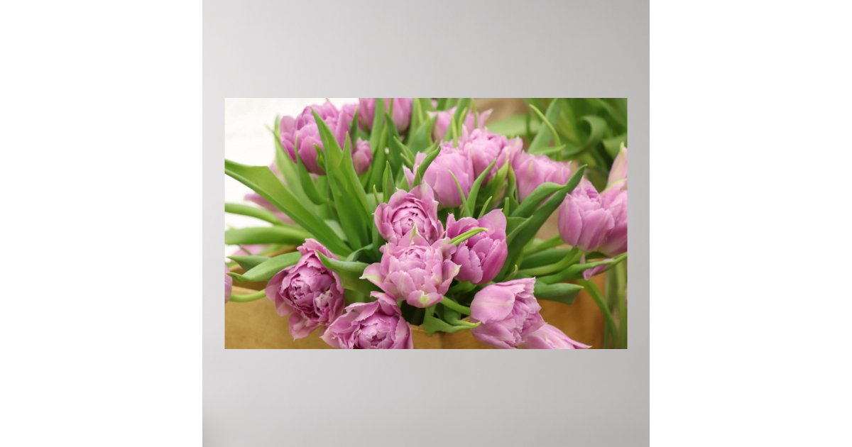 Pink Tulips Poster | Zazzle