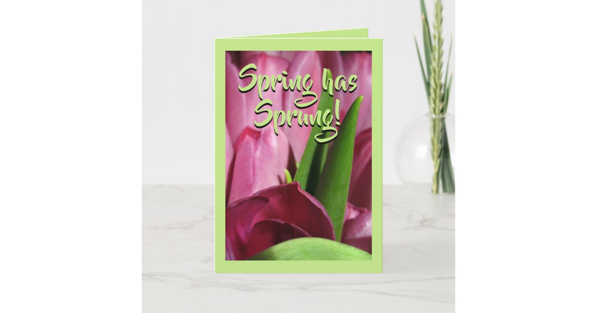 Pink Tulips Spring has Sprung Easter Flower Holiday Card | Zazzle