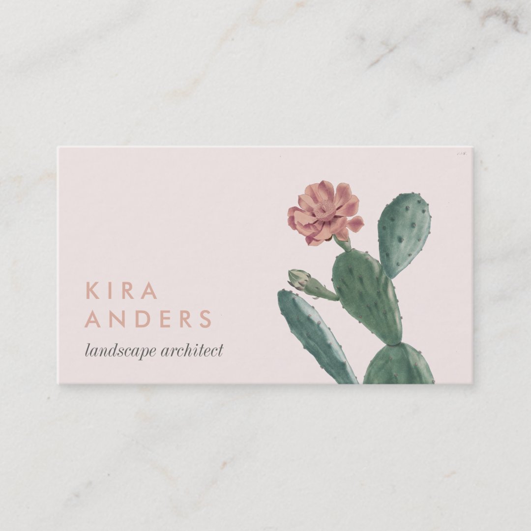 Pink Vintage Cactus Business Cards | Zazzle