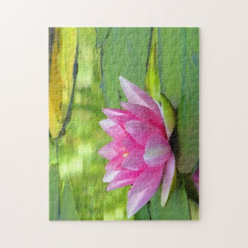 Pink Water Lily Lotus Flower Puzzle | Zazzle