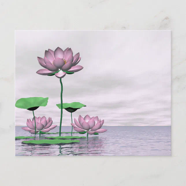 Pink waterlilies and lotus flowers flyer | Zazzle