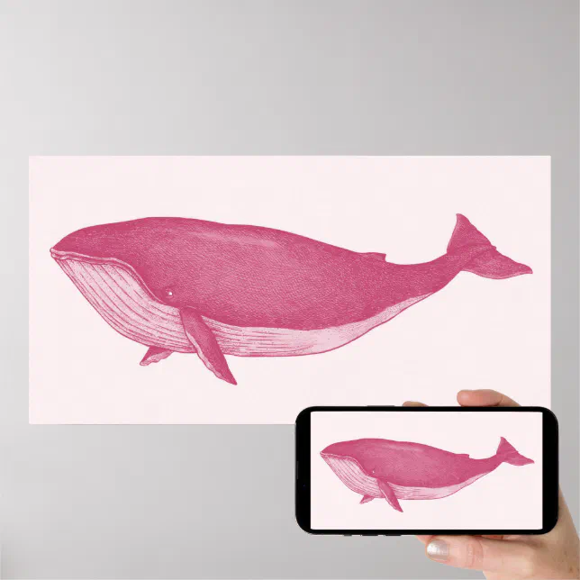 Pink Whale Poster | Zazzle