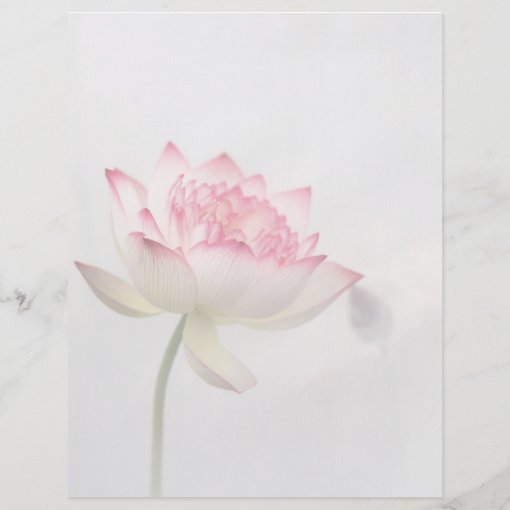 ©Pinkish White Lotus Flower Service & Price List Flyer | Zazzle