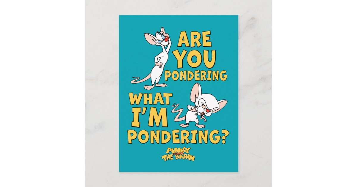 Pinky and the Brain | Are You Pondering? Postcard | Zazzle