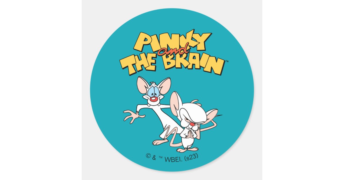 Pinky and the Brain | Show Logo Classic Round Sticker | Zazzle