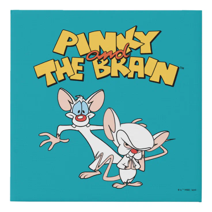 Pinky and the Brain | Show Logo Faux Canvas Print | Zazzle