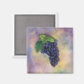 Pinot Noir Wine Grapes Magnet | Zazzle