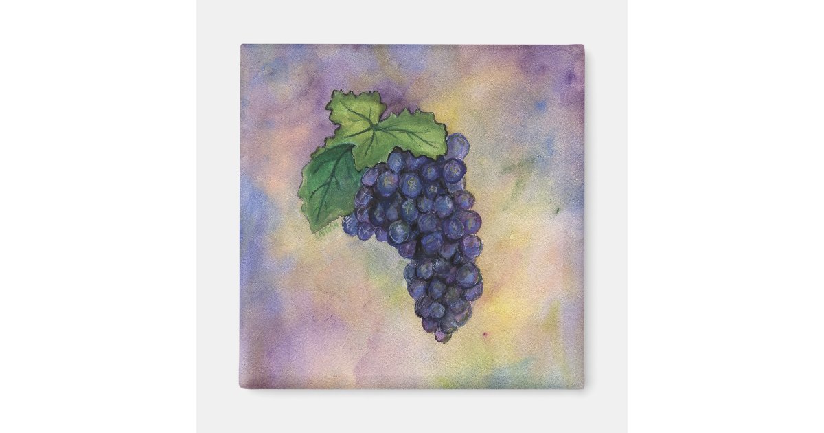 Pinot Noir Wine Grapes Magnet | Zazzle