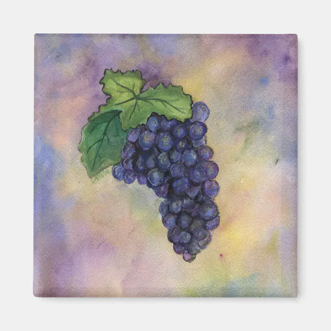 Pinot Noir Wine Grapes Magnet | Zazzle