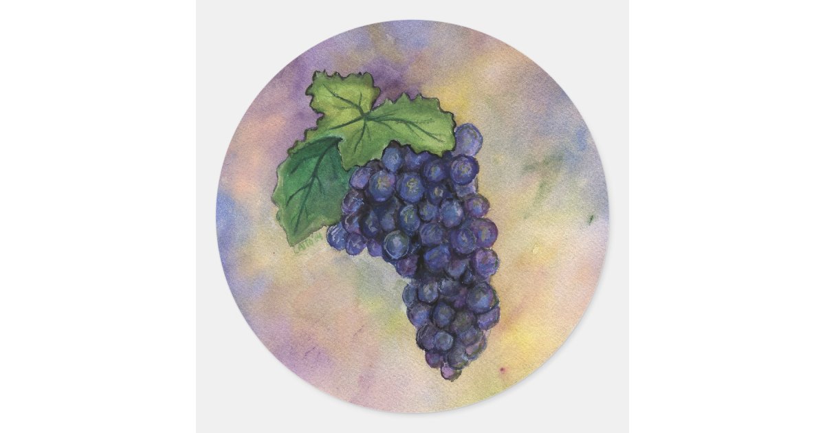 Pinot Noir Wine Grapes Sticker | Zazzle