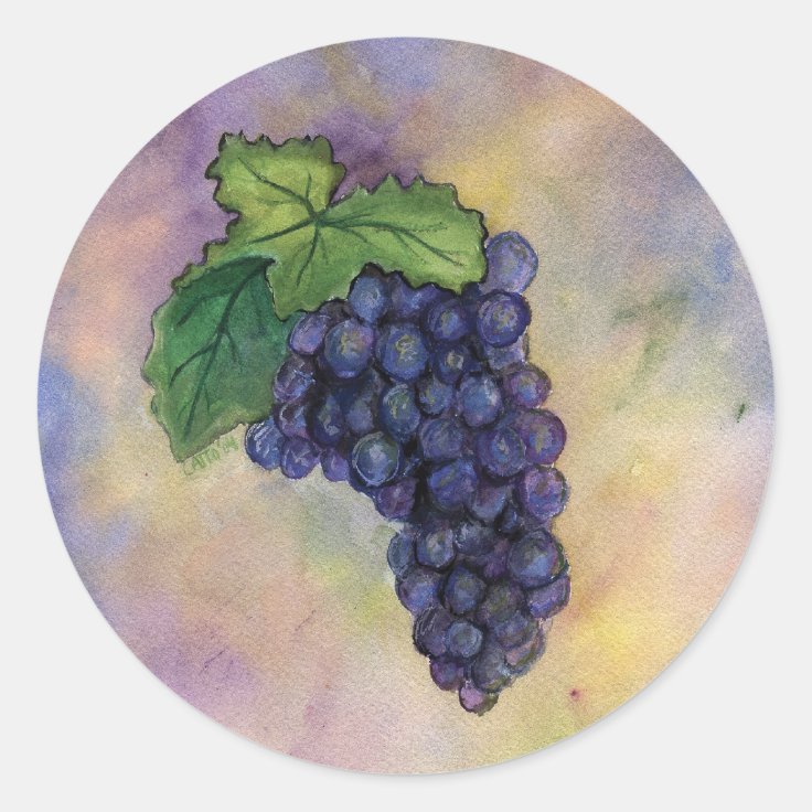 Pinot Noir Wine Grapes Sticker | Zazzle
