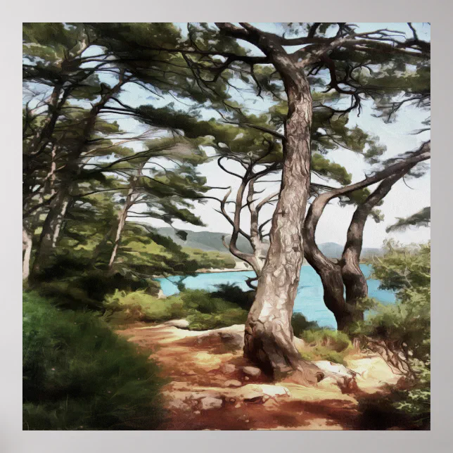 Pinus pinea Pine Tree Forest Painting Poster | Zazzle