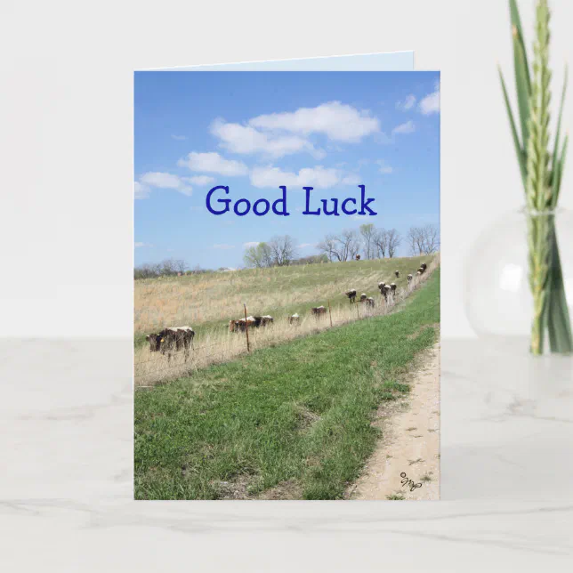 Pinzgauers 8360 Good Luck- change for any occasion Thank You Card | Zazzle