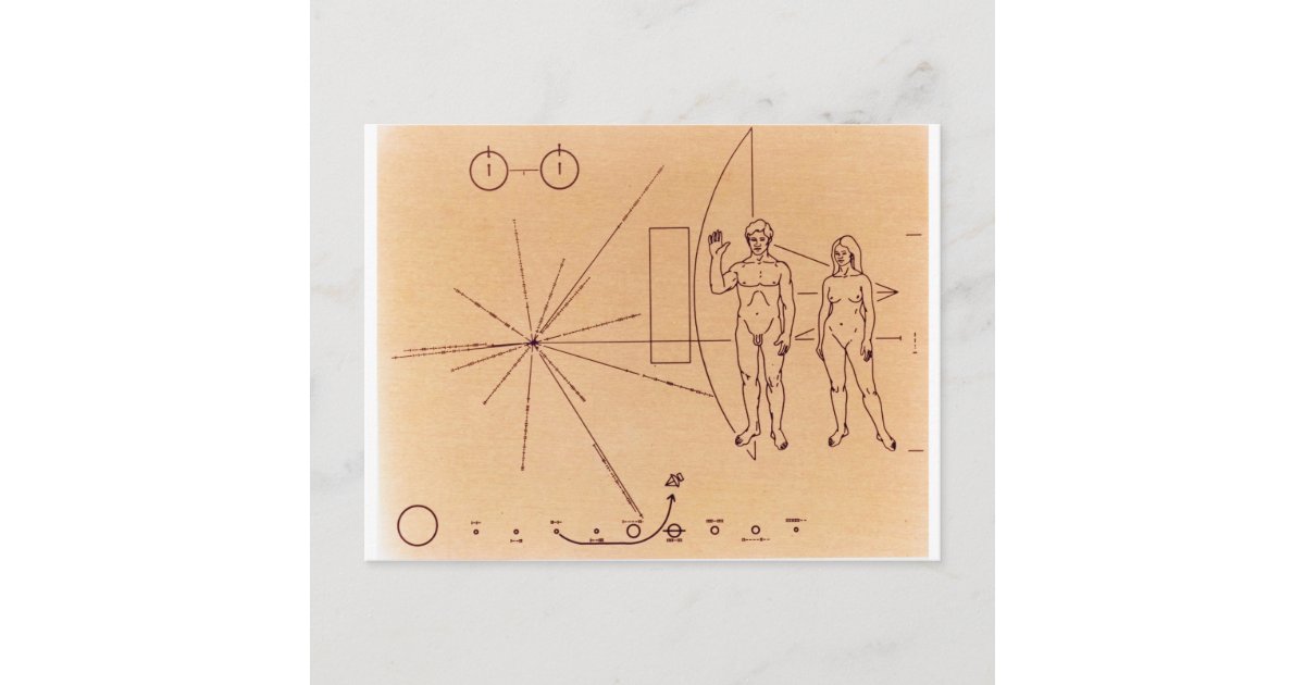 Pioneer 10's Plaque Engraved Gold-Anodized Plate Postcard | Zazzle