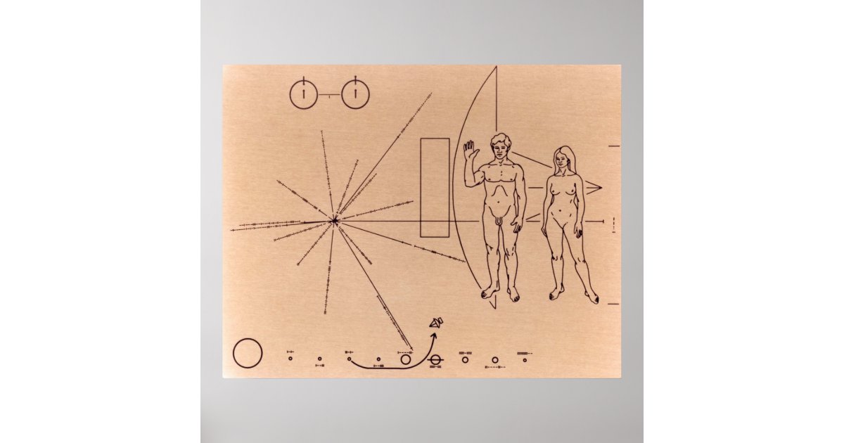 Pioneer Plaque Poster | Zazzle