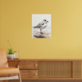 Piping Plover Bird Art Print Poster | Zazzle
